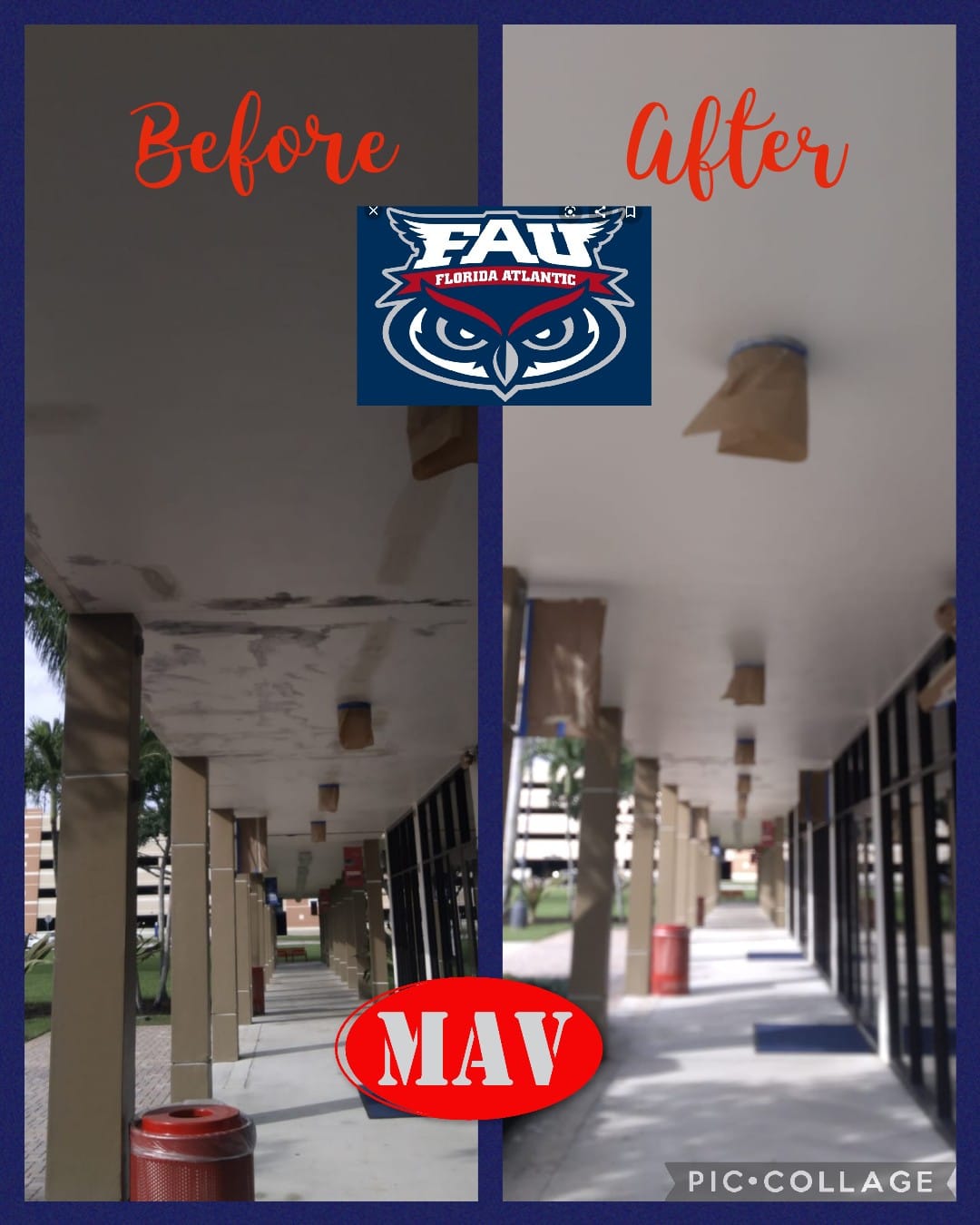 Services | MAV Paint Contractors